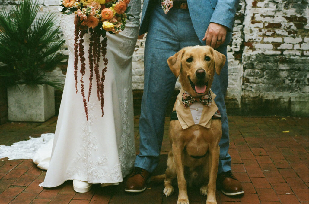 Wilmington Wedding Photographer - Lightbloom Photography